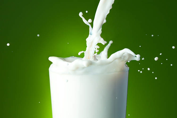 Tout ce qu’il faut savoir sur le lait